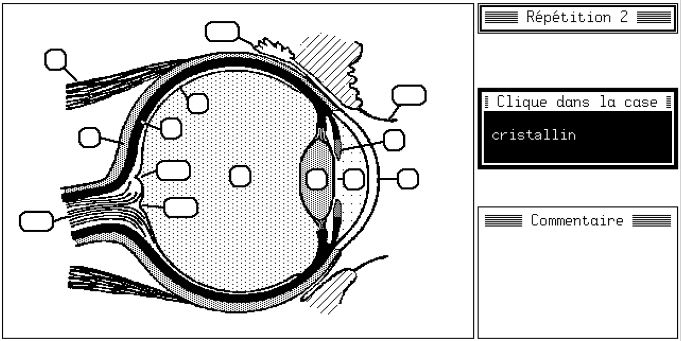 Le SMAKY Infini libre – SMAKY